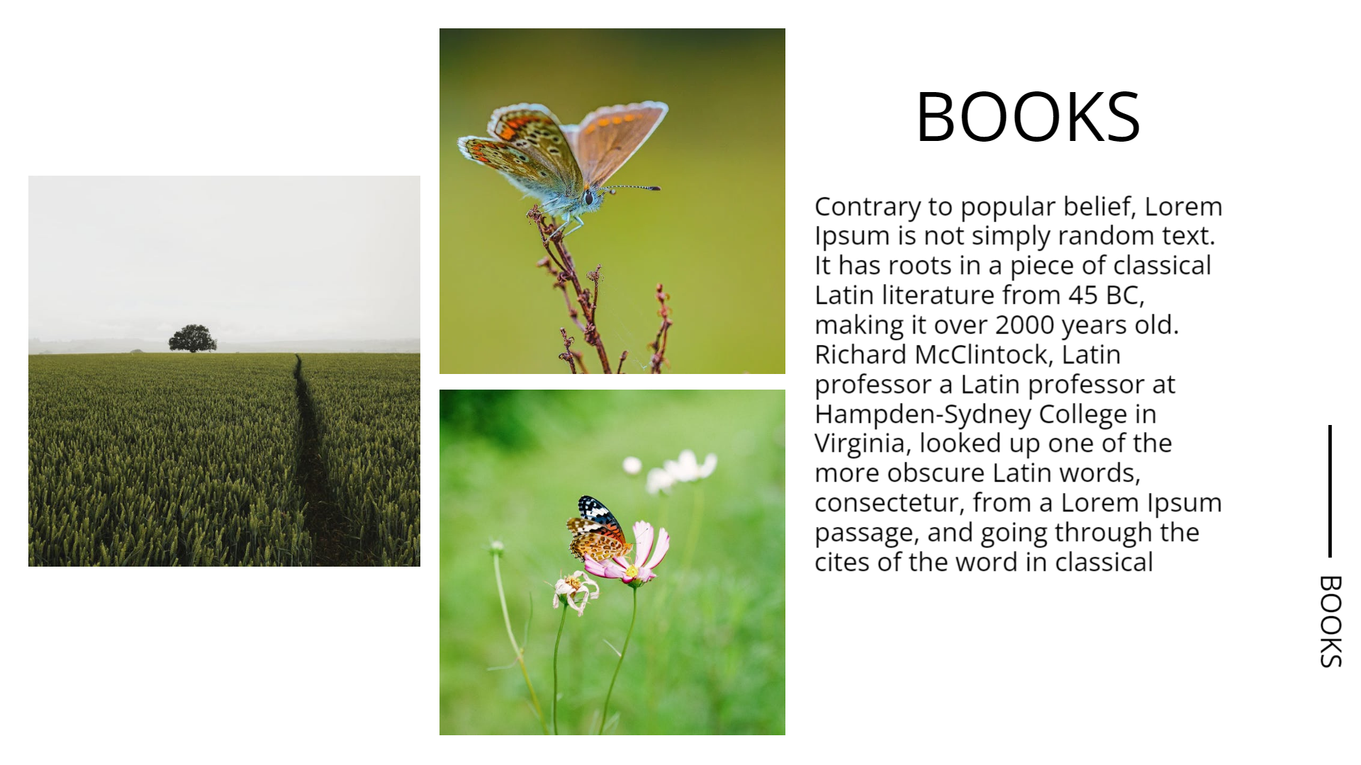 Home | Slidebyslide.ai