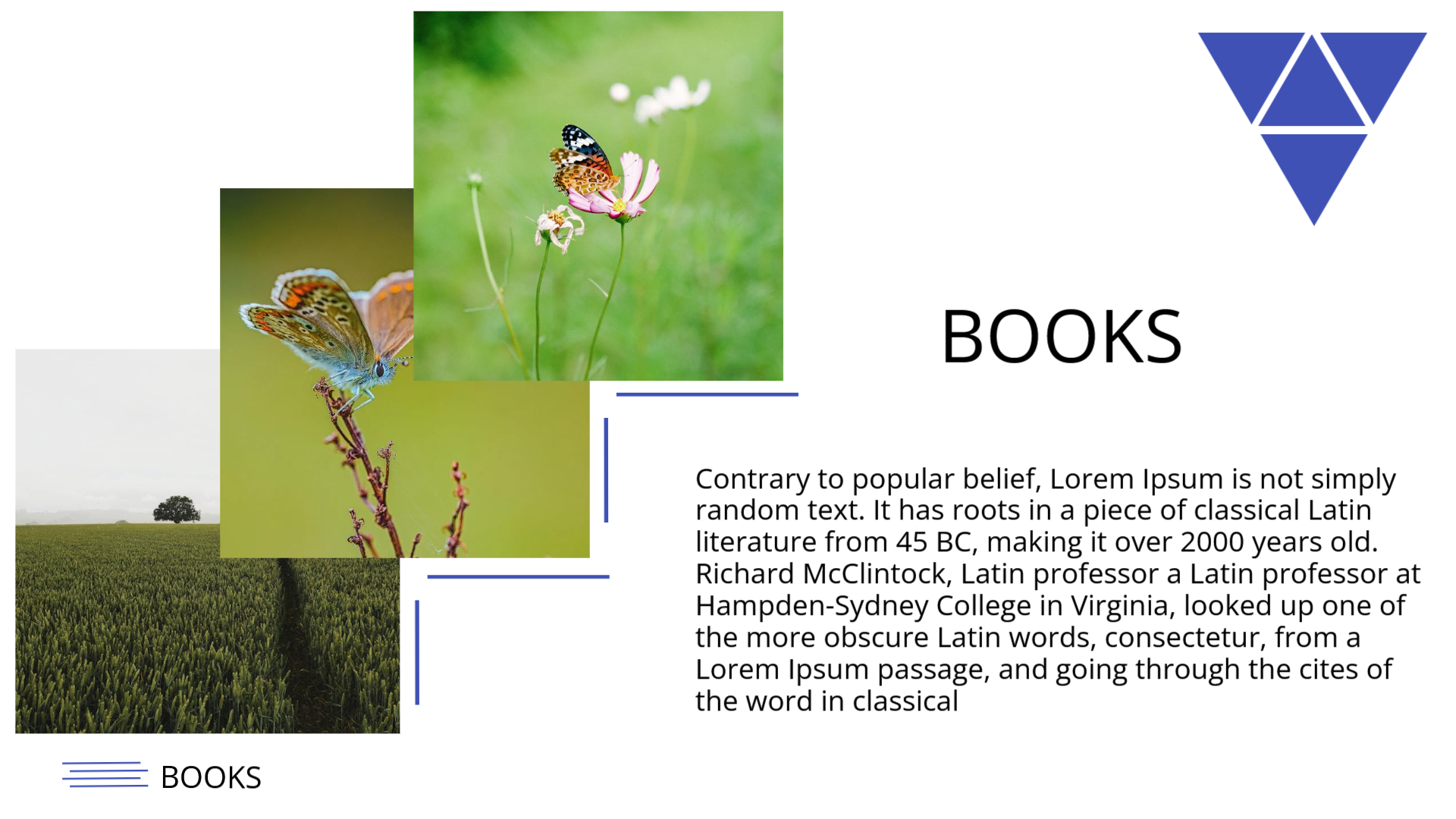 Home | Slidebyslide.ai