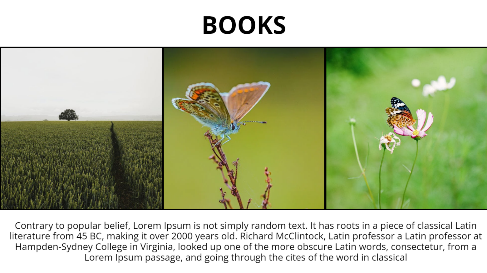 Home | Slidebyslide.ai